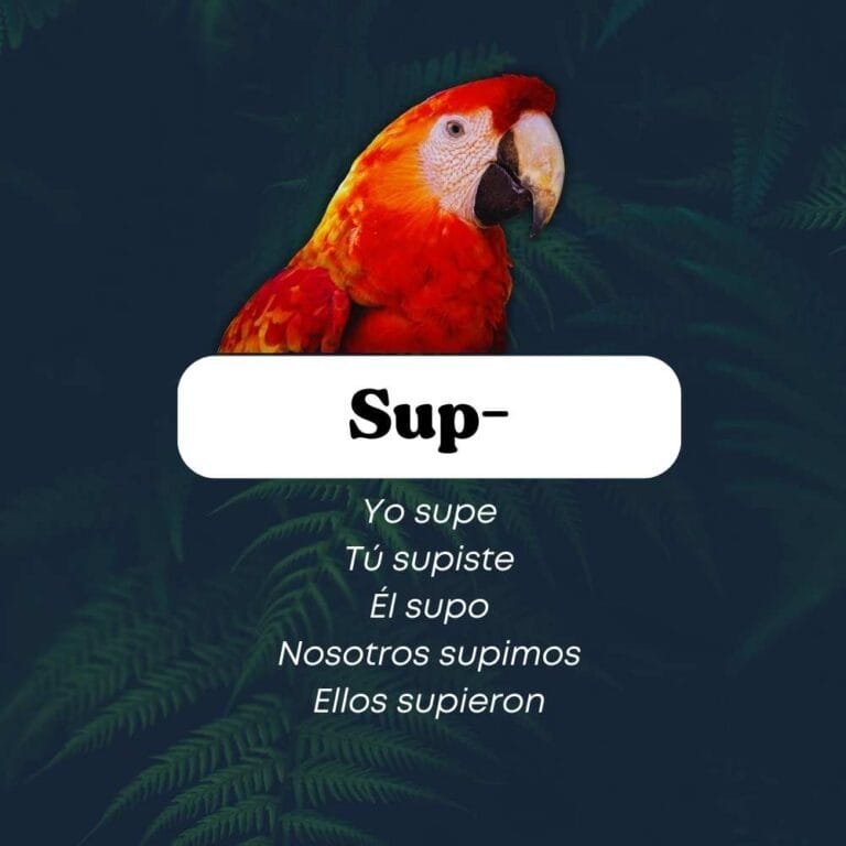 El Pasado Simple En Español Ejercicios De Práctica Español Con María