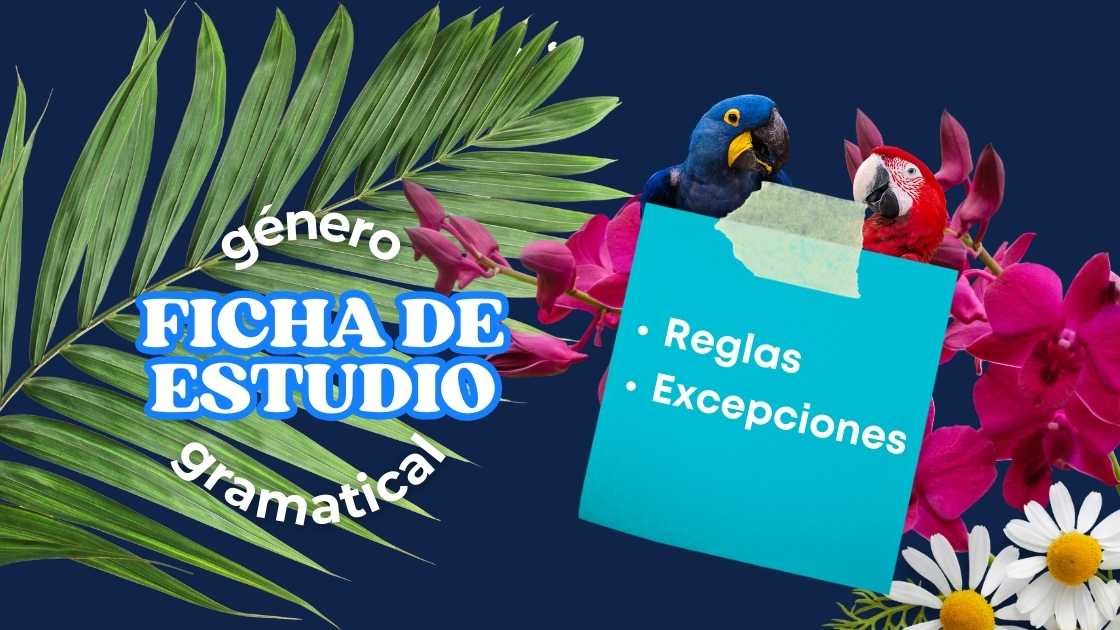 Palabras femeninas y masculinas: el género gramatical en español