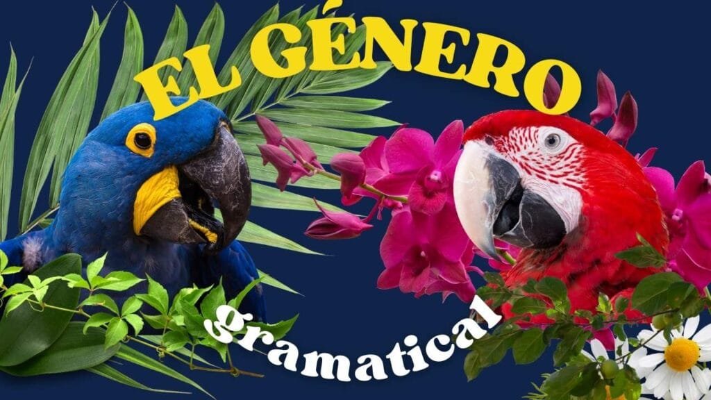 Palabras femeninas y masculinas: el género gramatical en español